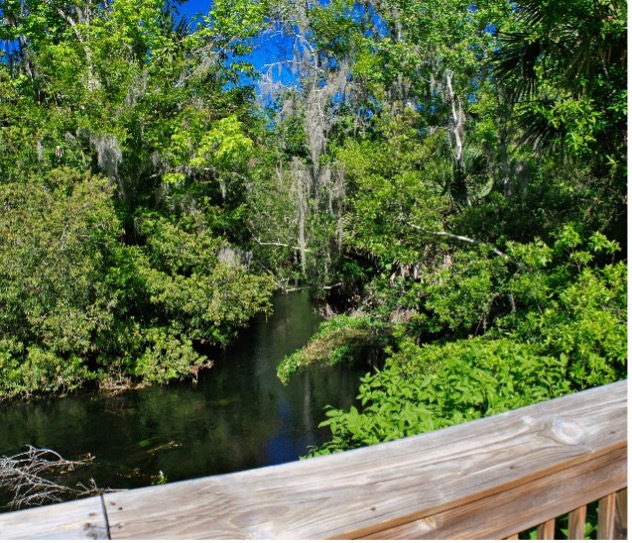 Go Out and Enjoy Nature | VHA